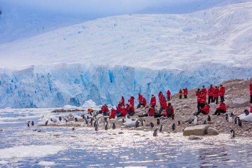 Polartours | Antarctic & Arctic Cruises Specialist