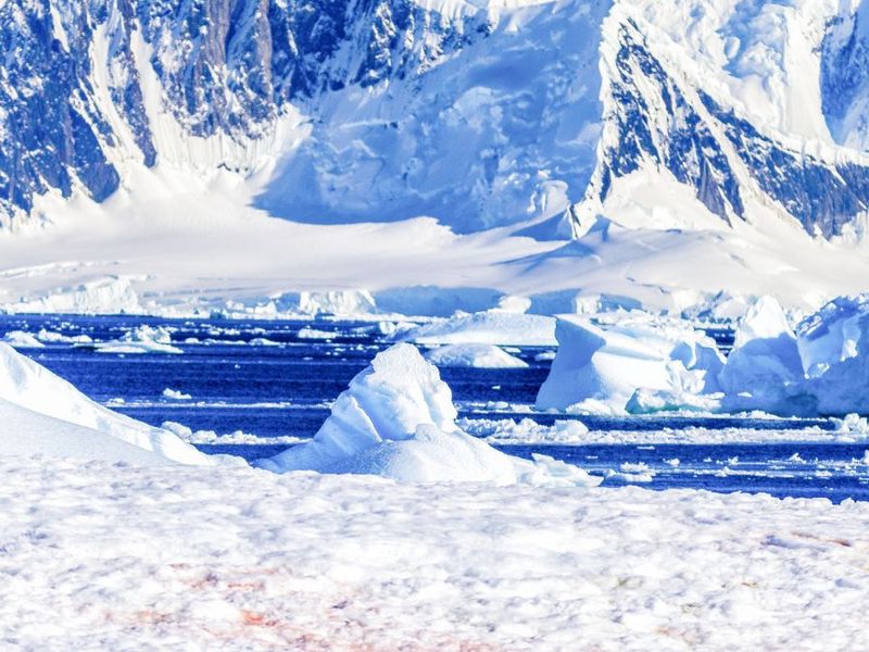 Discover the Polar Regions with Benno and Our Expert Team at Polartours