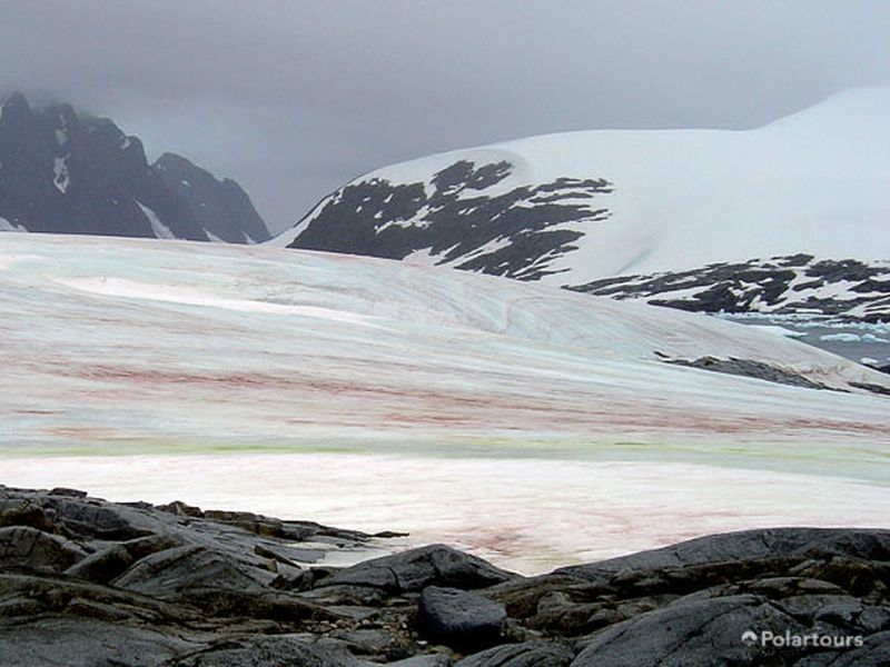 Pleneau Island
