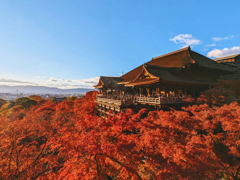 21 jours au Japon en automne | Tous les circuits sont garantis - Japaventura