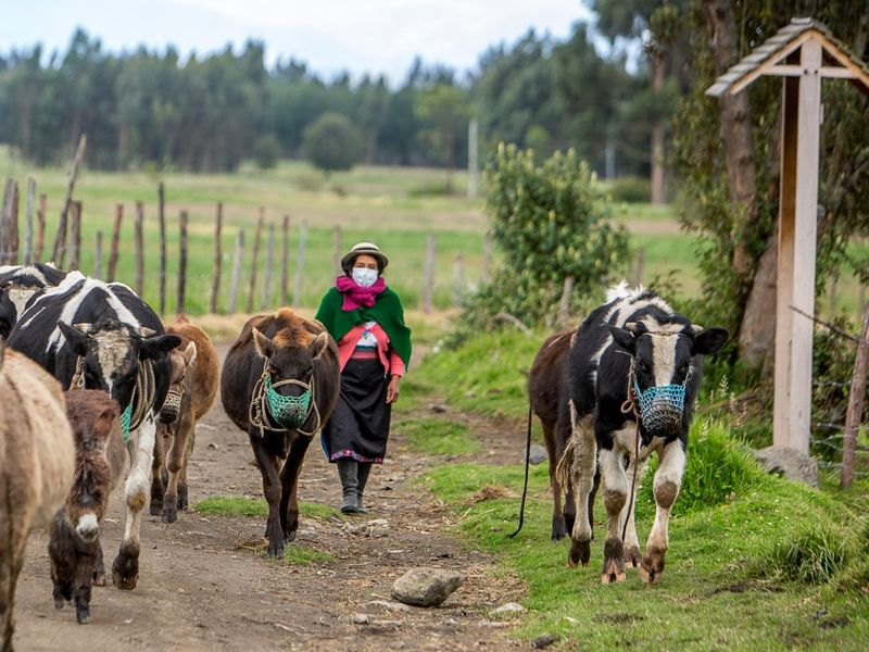 La Moya community-based tourism in Ecuador | Fairtrips