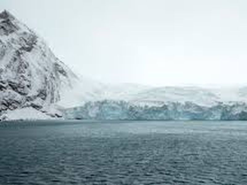 Elephant Island: Explore the Remote Paradise