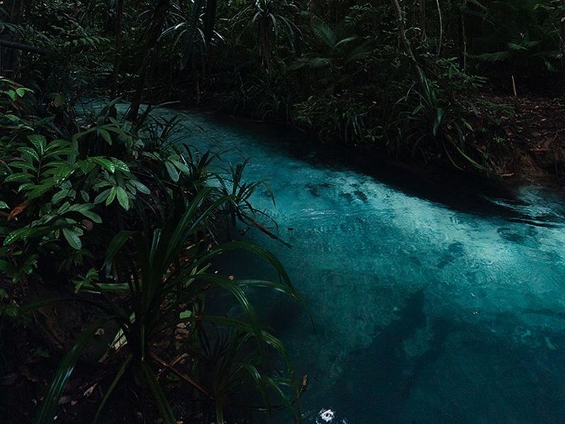 Kali Biru River Diving Cruise | DiveIndonesia.com