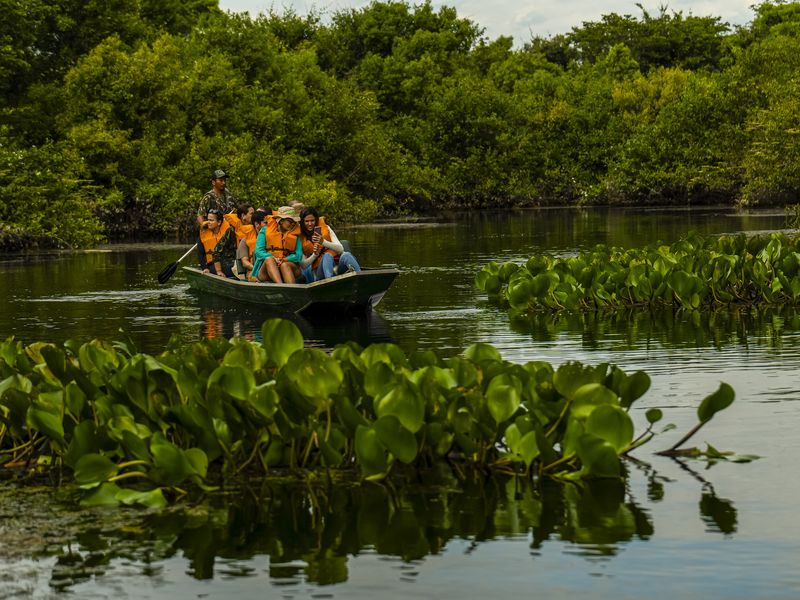 Amazon Boat Safari in Manaus with Viventura