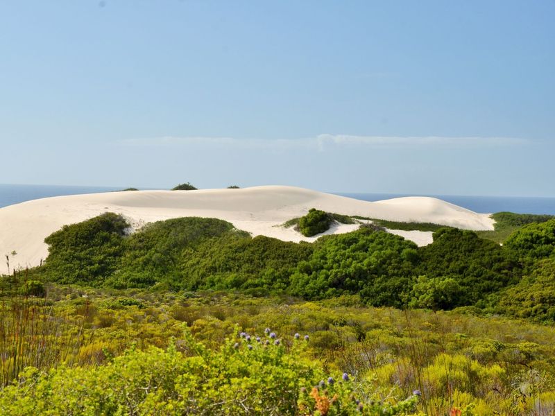 De Hoop Naturreservat: Südafrikas Juwel an der Küste