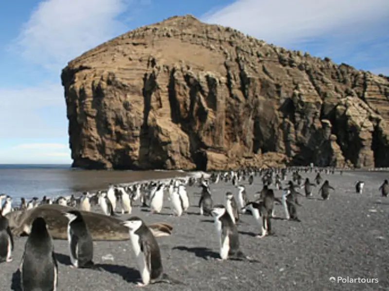 Deception Island: A Spectacular Volcanic Escape in Antarctica