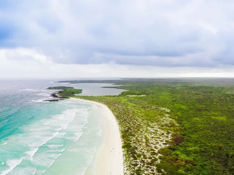 Tortuga Bay Beach | Galapatours