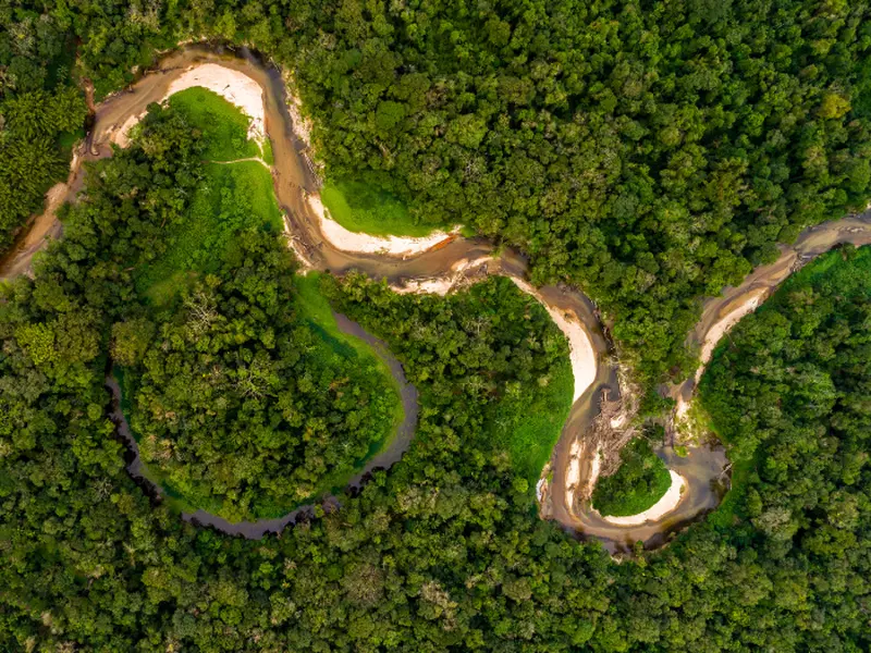 L’aventure verte : tourisme durable pour la faune et écotourisme en ...