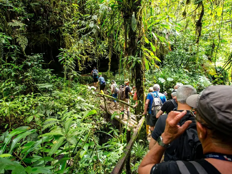 Forest Guardians, Amazon Rainforest Conservation Initiative