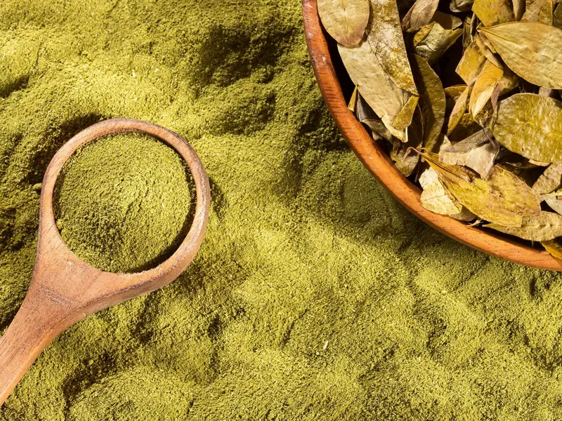 La Coca : une tradition andine ancestrale