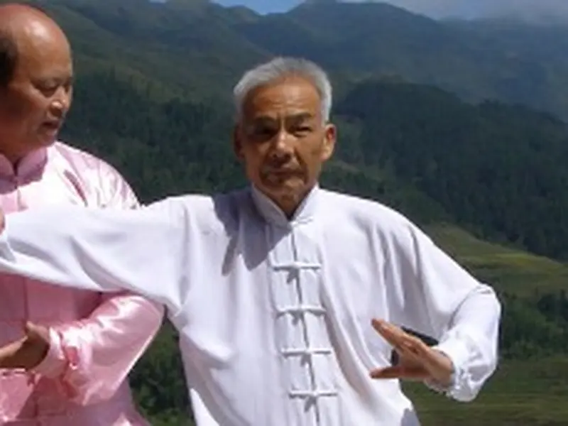 Begrifferklärungen zu TCM und Taiji
