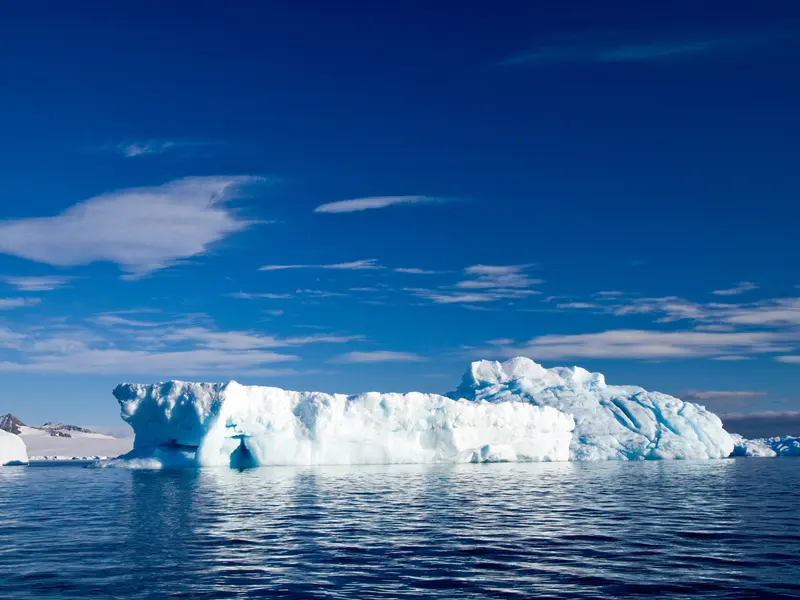 Everything you can see in Antarctica during the Polar Summer and when ...
