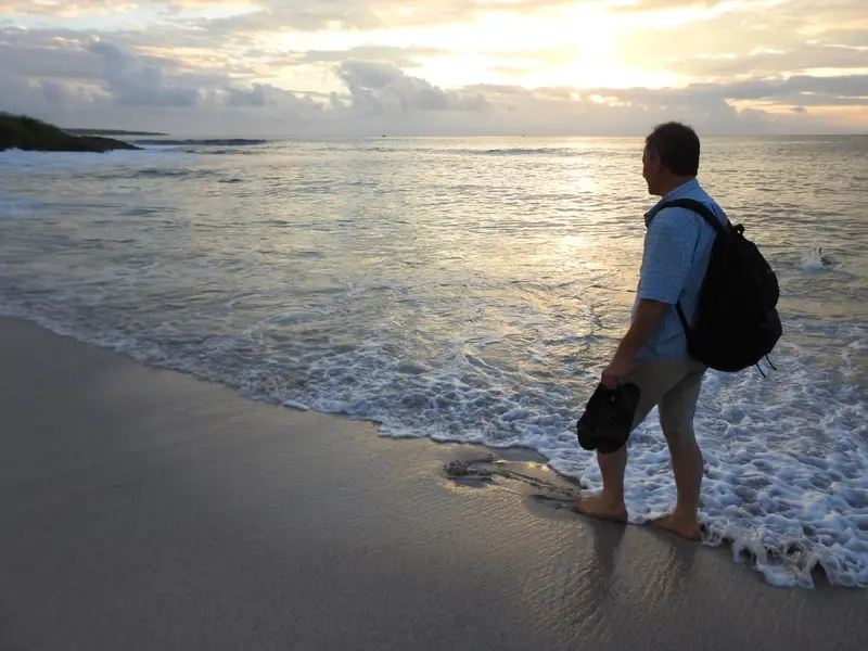 Carola Beach Galápagos – Tierwelt & Entspannung mit Viventura