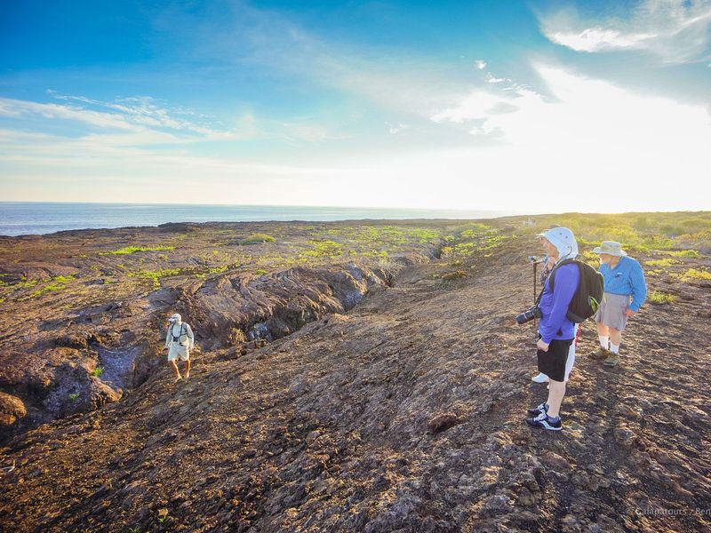 Genovesa Island | Galapatours