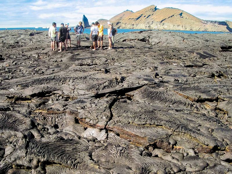 Sullivan Bay | Galapatours