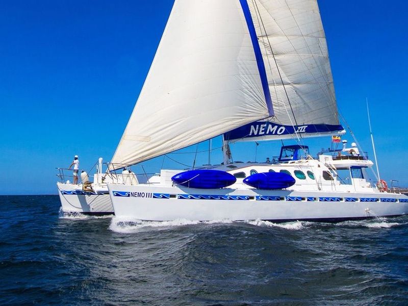 Nemo III Galápagos Cruise | Galapatours