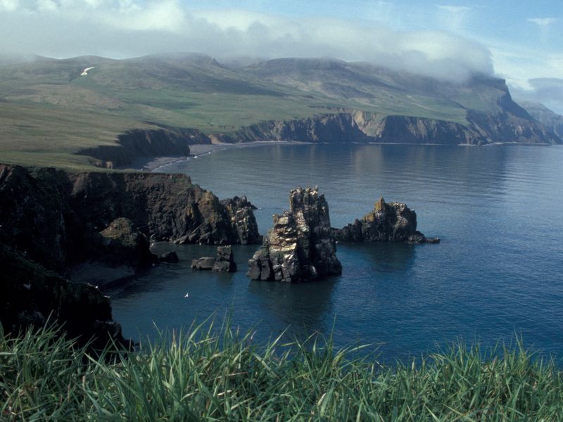 Hall Island | Polartours