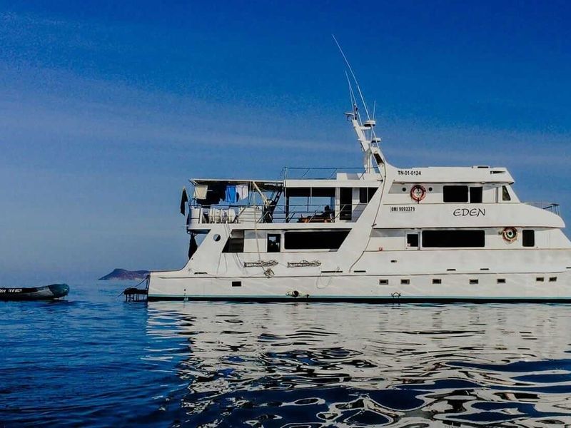 Eden Galápagos Cruise+Flights | Galapatours