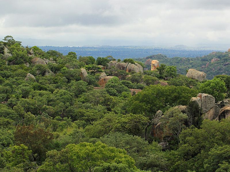 Parc national de Matobo Hills au Zimbabwe