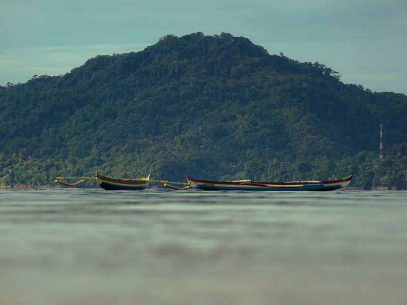 Ambon Island Diving Cruise | DiveIndonesia.com
