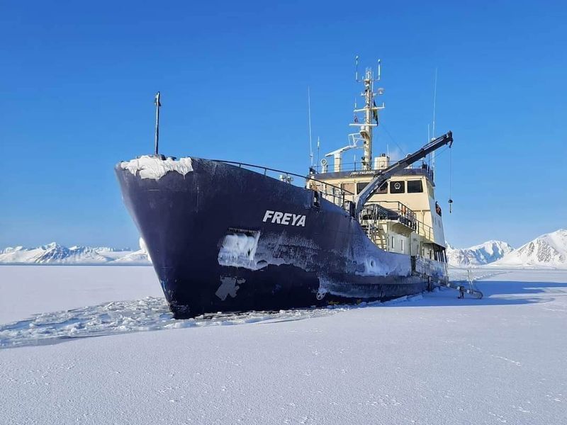 Freya Arctic Cruises | Polartours