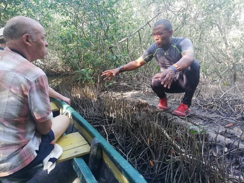 Ecotours: Tourism as a Catalyst for Conservation