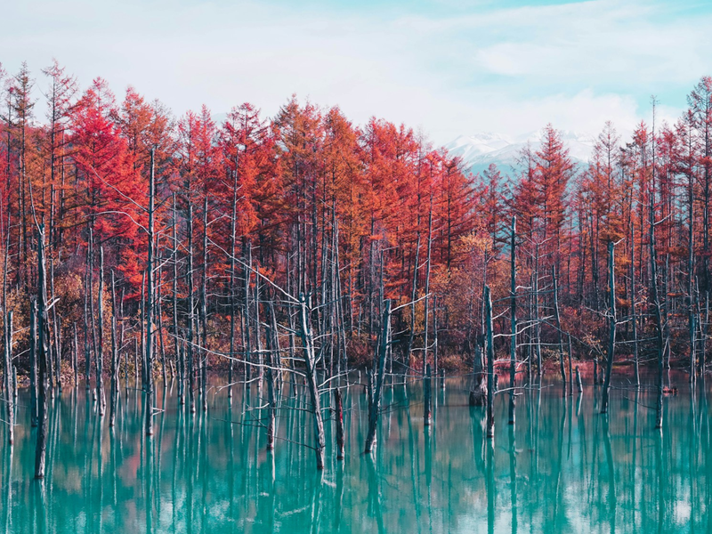 Die wichtigsten Highlights im Norden Japans