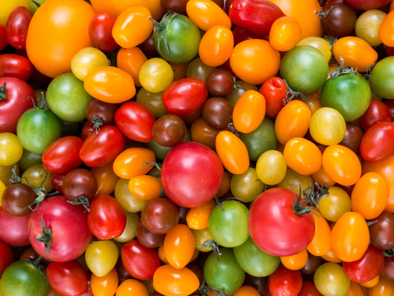 Exploring the Rich Variety of Italian Tomatoes and Their Culinary Uses