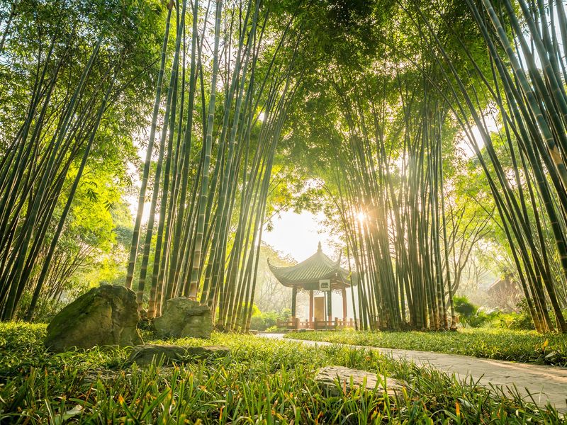 Die Highlights von Chengdu für einen perfekten Tag