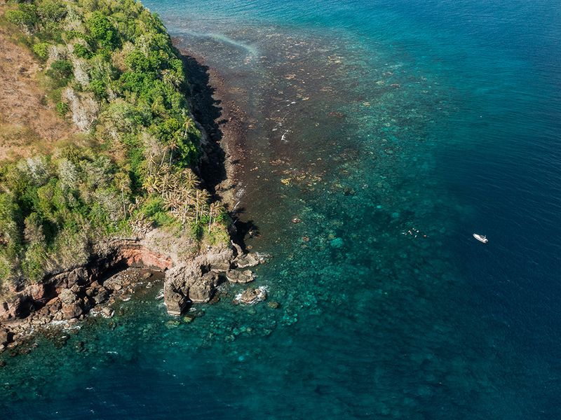 Manuk Island Diving | DiveIndonesia.com