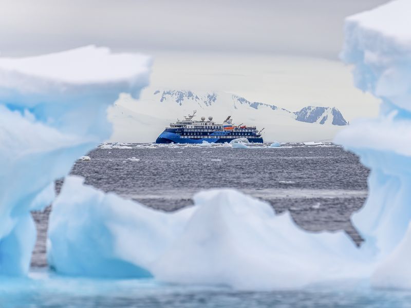 Ocean Albatros: Falkland Islands, South Georgia & Antarctica | Polartours