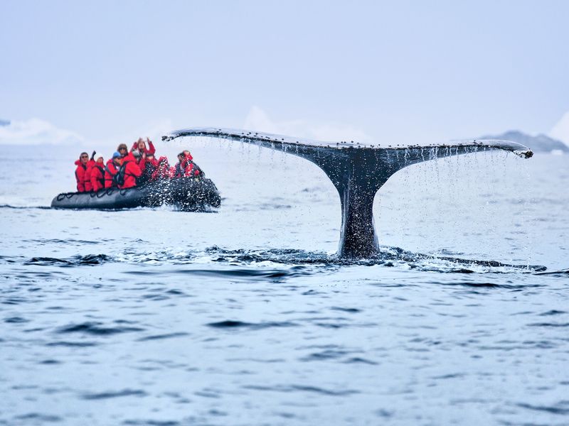 Polar Expeditions: Dates & Prices | Polartours